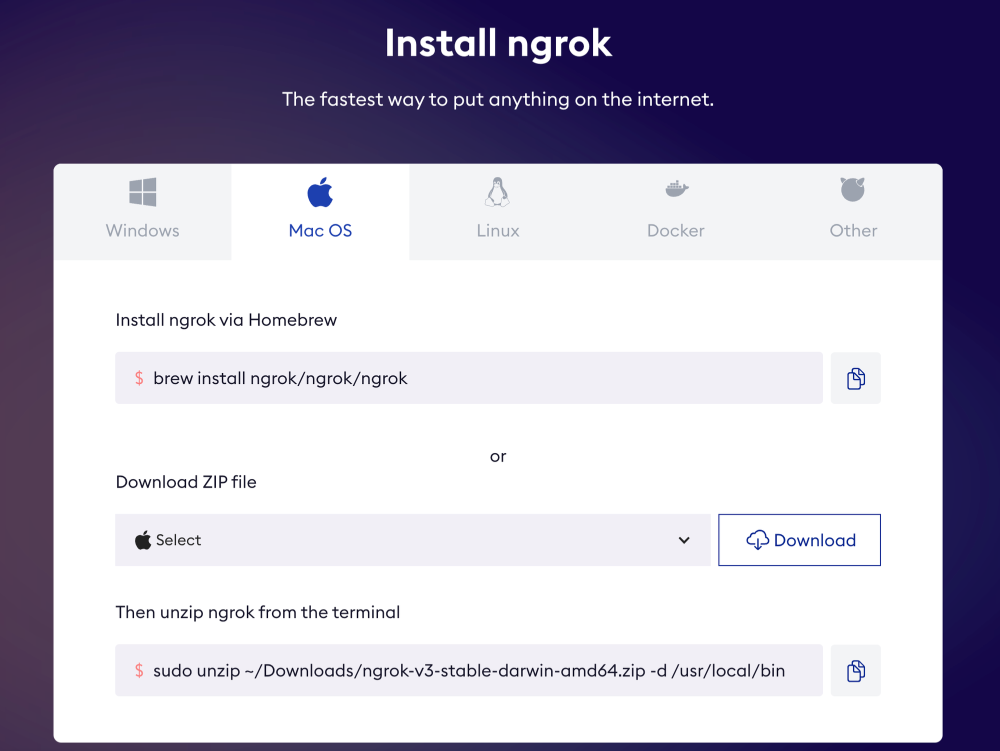 ngrokの使い方 - デプロイが間に合わなかった時の最終手段・CraftStadium
